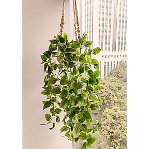 Fake Hanging Plants with Lights Artificial Plants for Home Decor Macrame Plant Hanger with Fake Vines Faux Hanging Planter for Wall Ceiling Bedroom Bathroom Kitchen Office Boho Decor Indoor