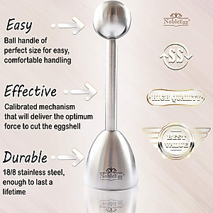 NobleEgg Egg Cups and Spoons Set for Soft Boiled Eggs | Bundle of 2 sets with Egg Topper Cutter (May ship separately)