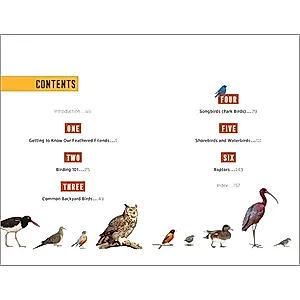 North American Bird Watching for Beginners: Field Notes on 150 Species to Start Your Birding Adventures