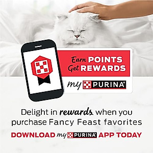 Purina Fancy Feast Wet Cat Food, Medleys Wild Salmon Florentine With Garden Greens in Delicate Sauce - (Pack of 24) 3 oz. Cans