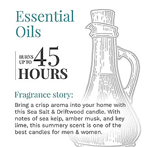 Essential Elements by Candle-lite Scented Candles, Sea Salt & Driftwood Fragrance, One 14.75 oz. Three-Wick Aromatherapy Candle with 45 Hours of Burn Time, Off-White Color