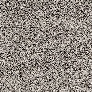 SAFAVIEH Athens Shag Collection 8' x 10' Light Grey SGA119F Non-Shedding Living Room Bedroom Dining Room Entryway Plush 1.5-inch Thick Area Rug