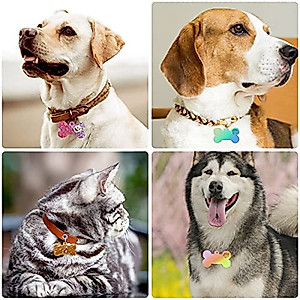 6 PCS Pet Tag Resin Molds, AFUNTA Dog Bone Shaped Tag Silicone Molds Photo Memorial Resin Molds Silicone with 10 Key Rings, for DIY Keychain Pet Tag Pendant Craft