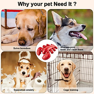 WBTK Dog Chew Toys, Interactive Dog Toys for Aggressive Chewers, Indestructible Dog Toys for Medium/Large Dogs, Great Gift for Pet