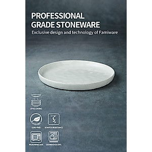 famiware Mars 4 Pieces Dinner Plates, 10.25 inch Plate Set, Scratch Resistant, Stoneware Dinnerware, Kitchen Modern Rustic Serving Dishes, Multi-color