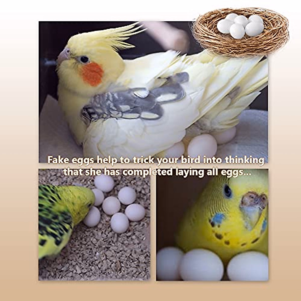 MESINURS Solid Plastic Eggs - Parrot Bird Hatching Replacing Eggs for Guiding Birds to Stop Laying, 10 PCS (S)