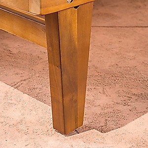 Christopher Knight Home Shiny Outdoor Wood Chaise Lounge (Set of 2), Teak Finish/White Mesh