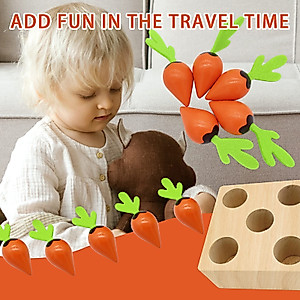 Doyolta Montessori Toys for Toddlers 4 Years Old, Shape Sorting Matching Puzzle Toy with Carrots Travel Toys in Tin Box for 4 Year Old Gifts for Boys Girls