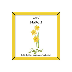 AFFY March Birth Month Daffodil Flower Disc Pendant Necklace In 18k Yellow Gold Plated Jewelry for Womens 18" Chain