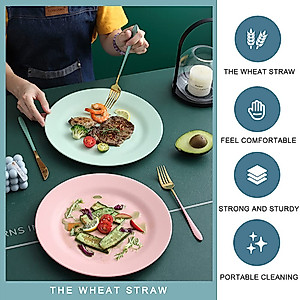 NA 10" 11" Dinner Plates Set of 10, Reusable Wheat Straw Dessert Dishes, Round Pasta Salad Serving Plate, Unbreakable Fiber Dinnerware for Party Steak Pizza (Pink)