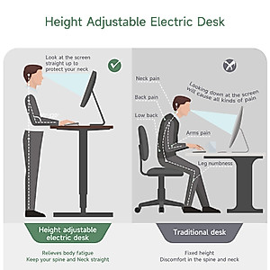 Dripex Adjustable Electric Standing Desk 1, 63 inch, White