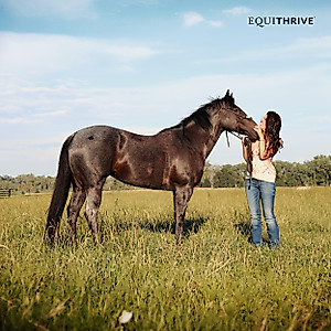 Equithrive Horse Gut Pellets with Probiotics, Psyllium Husk Powder, Sodium Bicarbonate and Omega 3 Fatty Acids, Digestive Support Supplement, 3.3 lbs