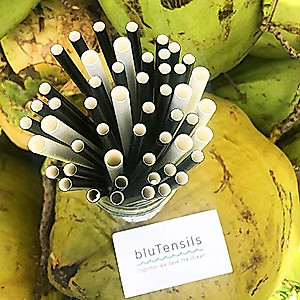 400 Pieces bluTensils Biodegradable Compostable Eco-friendly Bulk Standard Paper Straw Utensil Party Holiday Events Supplies Juice Tea Bar (Black, Standard)