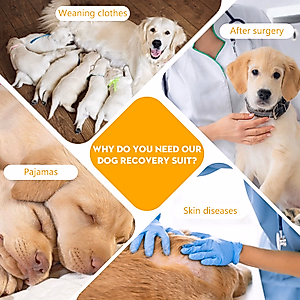 Dotoner Dog Recovery Suit Tie-Dye Pet Recovery Shirt Surgery Suit for Male Female Dogs Alternative E-Collar&Cone Protecting Abdominal Wounds Skin Disease Prevent Licking Wounds Dog Onesies