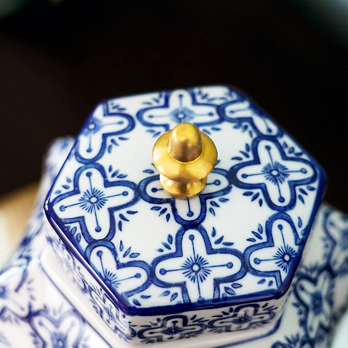 Blue and White Hand Painted Pattern Ceramic Ginger Jar with Lid Storage Decorative Jar for Home Decor