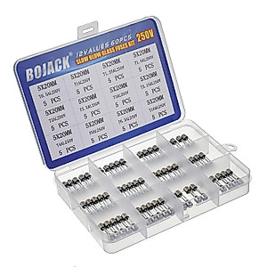 BOJACK 12 Values 60 pcs Slow Blow Glass Fuses Assortment Kit 5x20mm 250V T0.5A 1A 1.25A 1.6A 2A 2.5A 3A 3.15A 4A 5A 6.3A 10A packag in a Clear Plastic Box