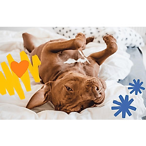 Good Dog! Hemp Chews for Dogs - Max Strength Organic Hemp for Max Calming and Anxiety Relief in Any Stressful Situation - 120 Soft Hemp Relaxant Chews for Dogs