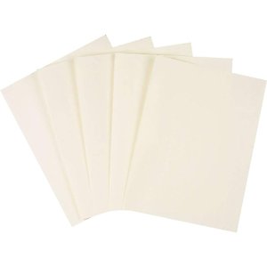 Staples 490950 Pastel Colored Copy Paper 8 1/2-Inch x 11-Inch Cream 500/Ream (14789)