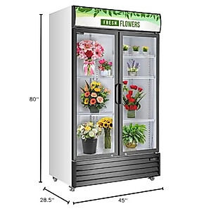 Procool Refrigeration Glass 2 Door Floral Display Cooler "Fresh Flowers" Design; 35 Cubic Ft., 45" Wide