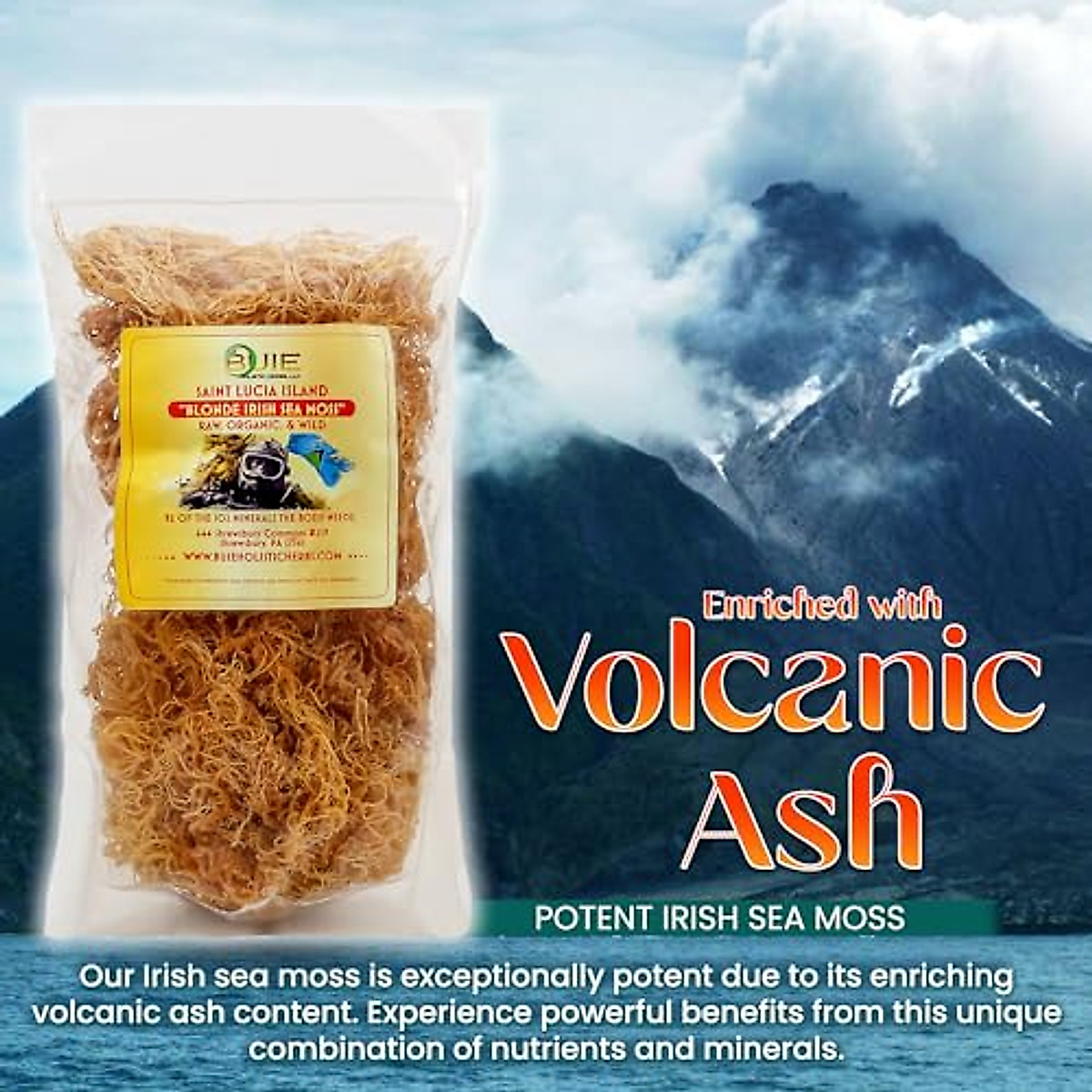 BUIE HOLISTIC HERBS Golden Irish Sea Moss, Pure Wildcrafted, Nutrient-Rich, Dr. Sebi Inspired - Makes 120+ oz Gel | Pure & Natural Raw Gold Irish Sun - Dried Sea Moss for Health & Wellness / (8 oz)