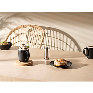 Bodum Schiuma Milk Frother, 1 EA, Stainless Steel