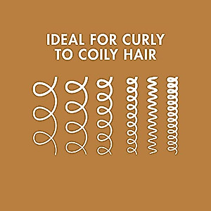 Nexxus Curl DefineCurl Define Shampoo Sulfate free For Curly & Coily Hair with ProteinFusion Curl Enhancer & Strengthening Shampoo 13.5 oz