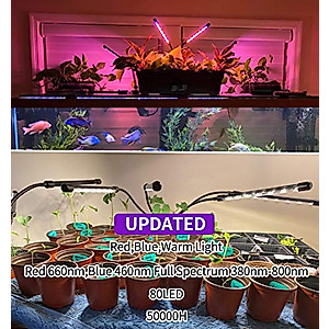 LEOTER Grow Light for Indoor Plants - Upgraded Version 80 LED Lamps with Full Spectrum & Red Blue Spectrum, 3/9/12H Timer, 10 Dimmable Level, Adjustable Gooseneck,3 Switch Modes