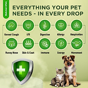 Dog Antibiotics | Antibiotics for Dogs & Cats | Cat Antibiotic | Forte Health | Natural Antibiotics for Dogs and Cats | Antibiotics for Cats | Chicken Flavor | 2 Oz