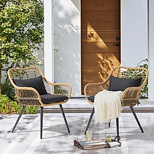 JOIVI Outdoor Patio Wicker Chairs Set of 2, Rattan Dining Chairs with Cushion and Armrest, Porch Chairs Outdoor Seating with Iron Frame, Balcony Furniture for Apartments, Lawn, Backyard, Garden, Black