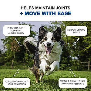 Chinichu Mobility Bites Dog Joint Supplement - Hip and Joint Chews for Dogs - Pet Products with Glucosamine, Chondroitin, & MSM + Vitamins C and E for Dog Joint Relief - Duck Flavor – 120 Count