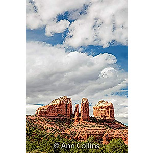 Sierra Club Engagement Calendar 2021