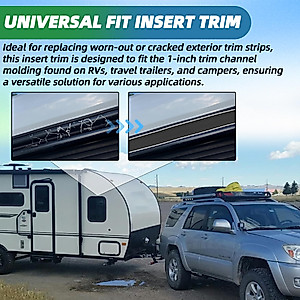 TonGass (Black, 1 Inch by 150 Feet) RV Vinyl Molding Trim Insert RV Trim Molding Exterior Waterproof UV-Resistant Exterior Trailer Siding Corners Trim Protects RV Shell Screws - No Need to Heat