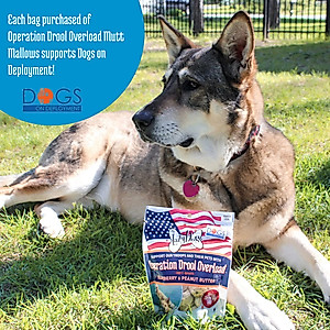 The Lazy Dog Cookie Co. Soft Dog Treats, Operation Drool Overload, Patriotic Dog Cookies for Small, Medium and Large Dogs, Wheat-Free, Baked in The USA, 5 oz. (Pack of 1)