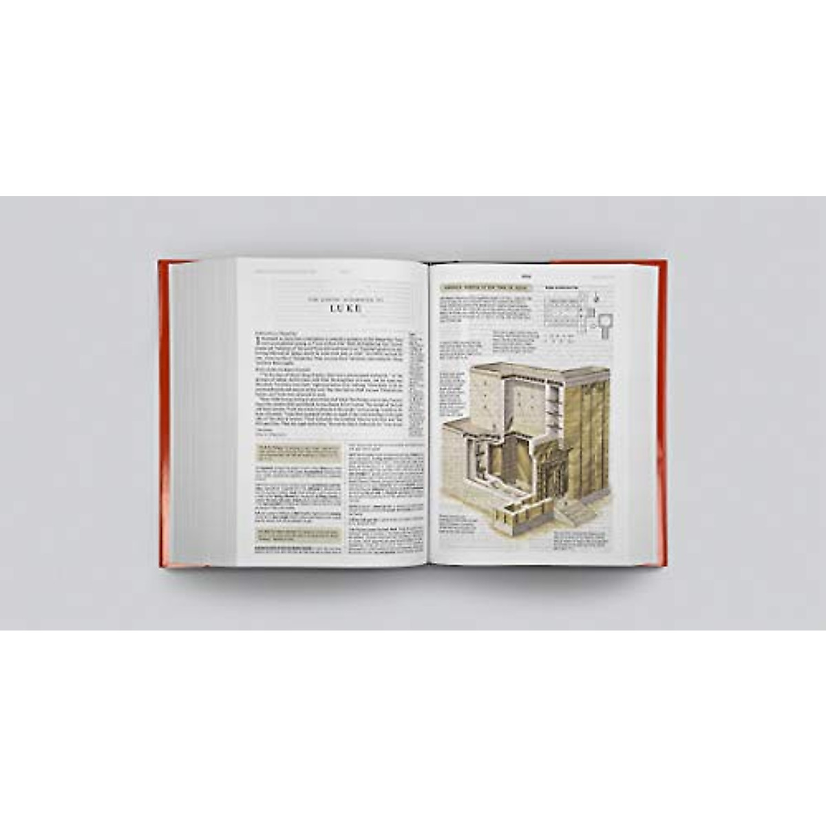 ESV Study Bible