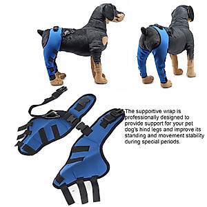 Tnfeeon Dog Knee Brace, Leg Brace Ligament Injury Joint Pain and Muscle Sore Adjustable Rear Support for Knee Dislocation Pet Knee Brace Recommended for Dog (M)