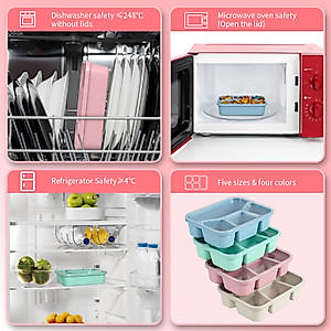 XGXN Bento Box Adult Lunch Box (4 Pack), 5-Compartment Meal Prep Container for Kids, Reusable Food Storage Containers with Transparent Lids, No BPA, Microwaveable (Wheat (Green/Blue/Pink/Beige))