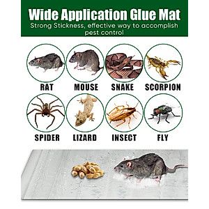 SEEKBIT 6 Pack Rat Sticky Traps Extra Large, Clear Mouse Glue Trap Sticky Trap for Mice and Rats, Enhanced Stickiness Trapping Pads Snakes Spiders Roaches for House Rodent Pest Control - 47.2x11