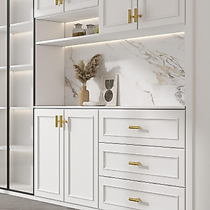 goldenwarm 10 Pack Gold Cabinet Knobs Brushed Brass Drawer Knobs Gold Dresser Hardware - LS201GD Single Hole Handles for Kitchen Cupboard Doors Closet Hardware 2in Overall Length