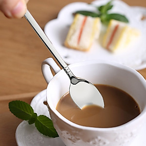 Fiazony 12-Piece Stainless Steel Teaspoon Dessert Spoons