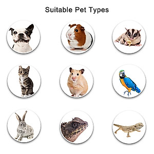 Cat Tent Outdoor, Realife Two Doors Pet Enclosure Pop Up Tent, Indoor Pet Tent Playpens for Cats and Small Animals in Deck, Yard, Patio, Park, Portable Exercise Tent with Carry Bag (Black)