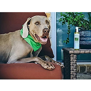 Midoricide Natural PET Anti-Itch/Allergy Oil- with Baobab, Neem and Babassu- 6 oz- Irritated, Itchy Remedy or Dry Skin Relief for Dogs and Cats