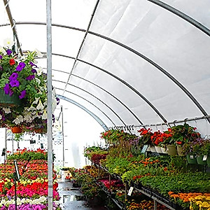 Storystore 2.5 Mil Greenhouse Plastic Film, UV Resistant Polyethylene Film, Green House Hoop Supply Plant Cover Sheeting for Agriculture, Garden (15' x 40')