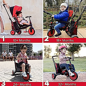 Smartrike - STR3 Multiple Steps 6 in 1 Foldable Child Tricycle with Certification Stroller for 1,2,3 Years, 5021533, Red