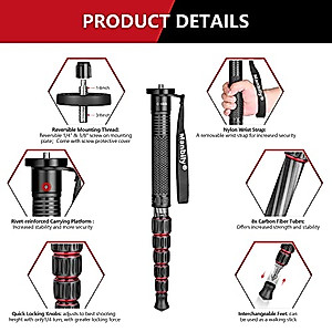 Manbily Camera Monopod Carbon Fiber Portable Compact Lightweight Travel Monopod with Carrying Bag Walking Stick Handle,for DSLR Canon Nikon Sony Video Camcorder,6 Sections up to 61-in (C-555L)