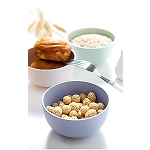 Old Tjikko Snack Bowls,Set of 4 Rice Bowls,100% BPA-Free Wheat Straw Fiber Snack Bowls,Eco-friendly Safe Kitchen Bowl for Children Adult Support Microwave(14 oz-4pack)