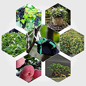Madotree 8 inch Garden Pruning Shears,SK5 Blade Pruning Scissors,For Cutting Flowers, Trimming Plants, Bonsai and Fruits Picking