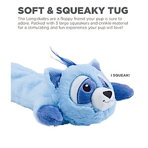 Outward Hound Longidudes Raccoon Plush & Squeaky Dog Tug Toy
