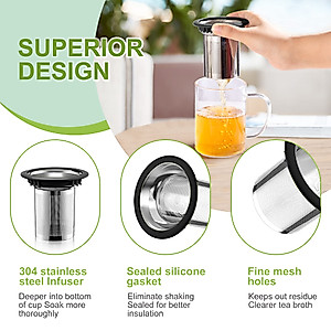 suyika Tomotime Glass Tea Cup with Lid and Stainless Steel Infuser Basket Perfect Clear Tea Mug for Office and Home Uses for Loose Leaf Tea Steeping 13.5 Ounce,400ml, Black