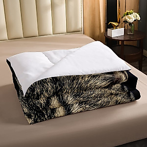 Feelyou Cats Comforter Set 3D Animals Pattern Bedding Set for Kids Boys Girls Pet Cat Kitten Decor Comforter Brown Grey Quilt Set Room 3Pcs Queen Size