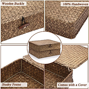 Hipiwe Woven Wicker Basket Bins with Lid - Set of 2 FLat Seagrass Storage Baskets Boxes Rectangular Shelf Baskets Home Organizer Bin for Shelf Organizing (Large Size, Coffee)